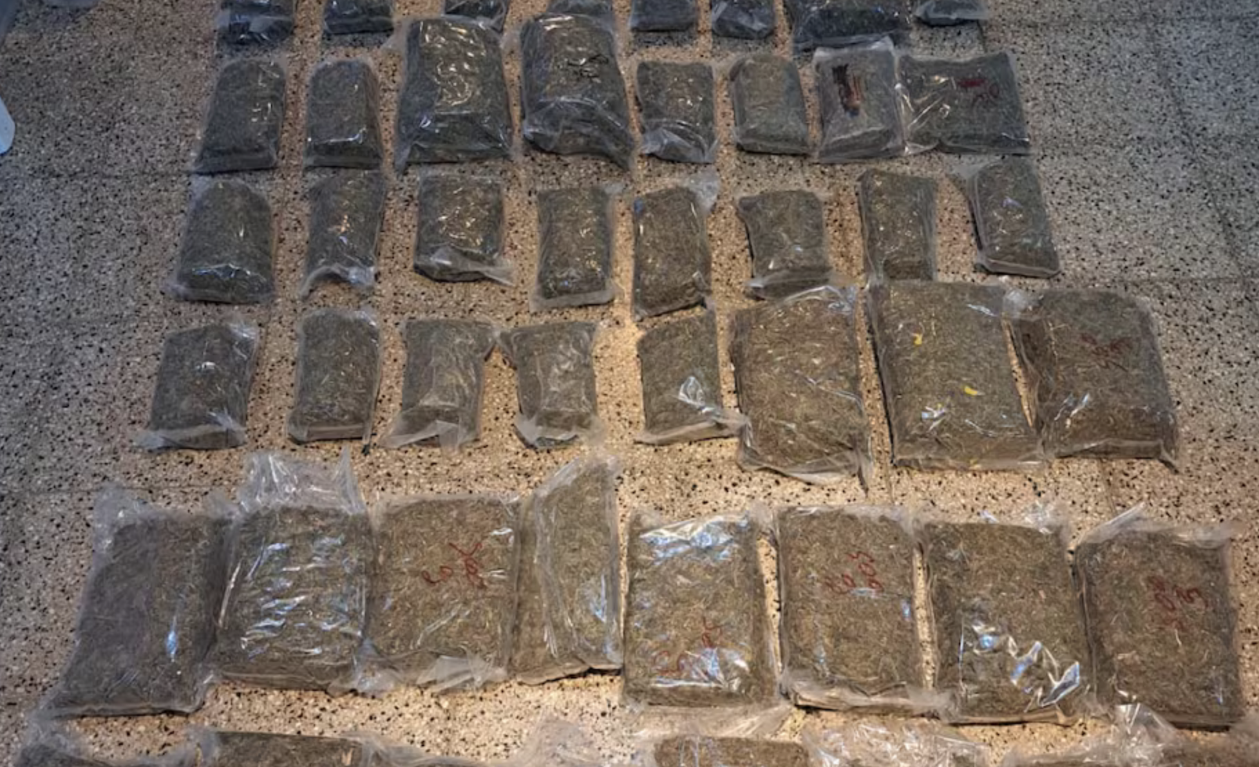 Córdoba: hallan 65 kilos de marihuana ocultos | Hechos